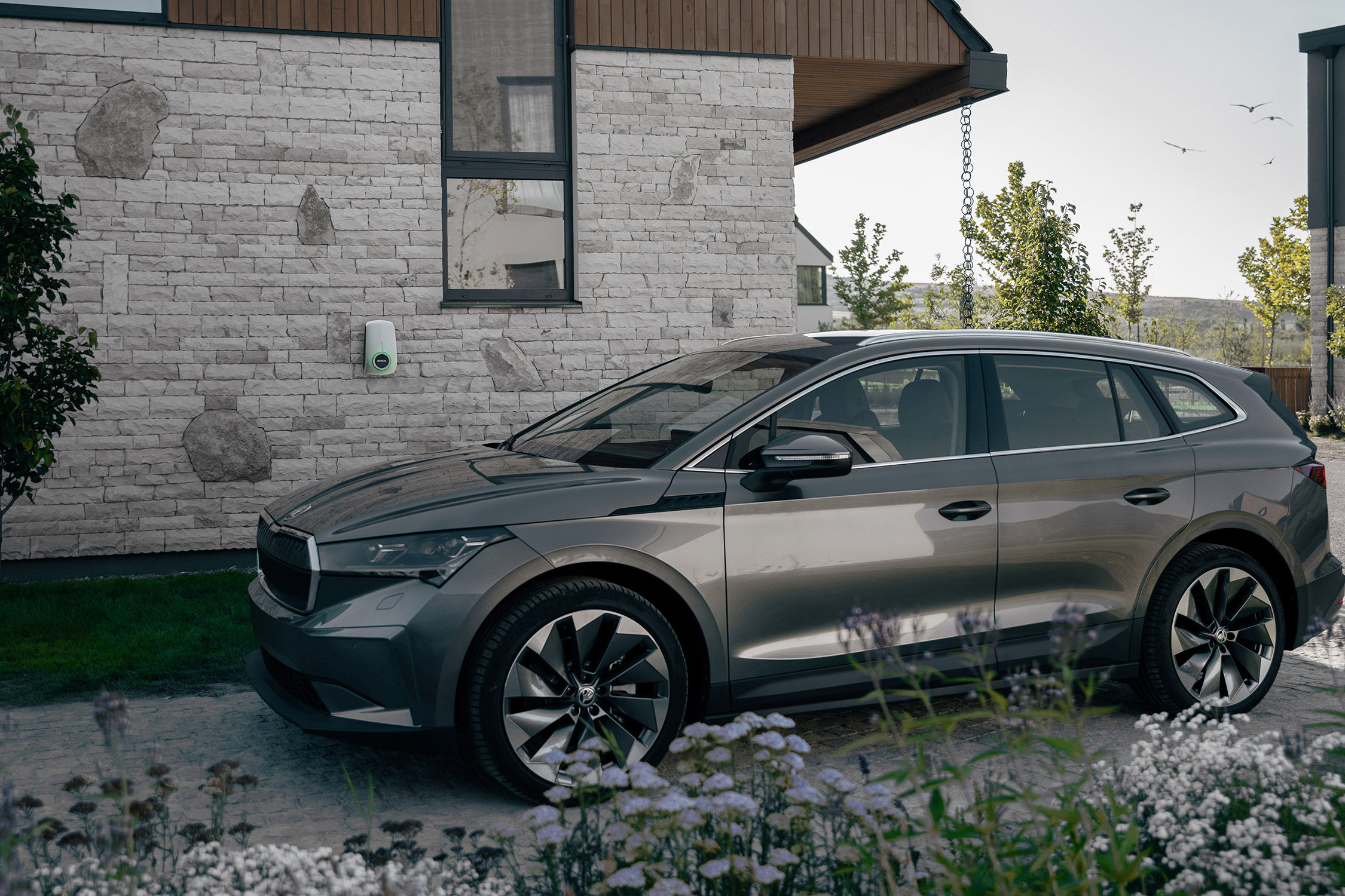 EVBox sur tous les fronts de la recharge - MotorGreen